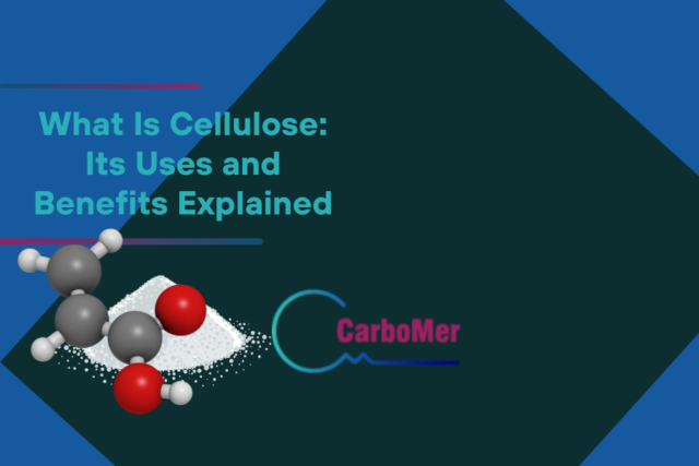 What Is Cellulose? | Uses and Benefits Explained
